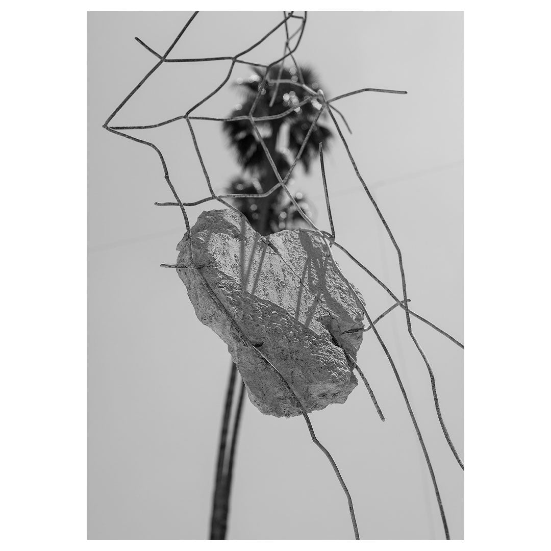 Rock Palm – Sector Seven Contemporary Art Gallery