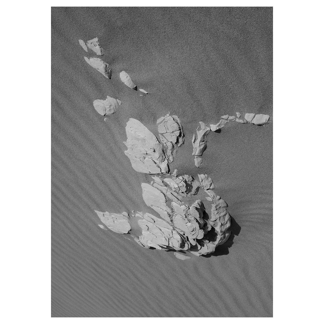 Shale Curve – Sector Seven Contemporary Art Gallery